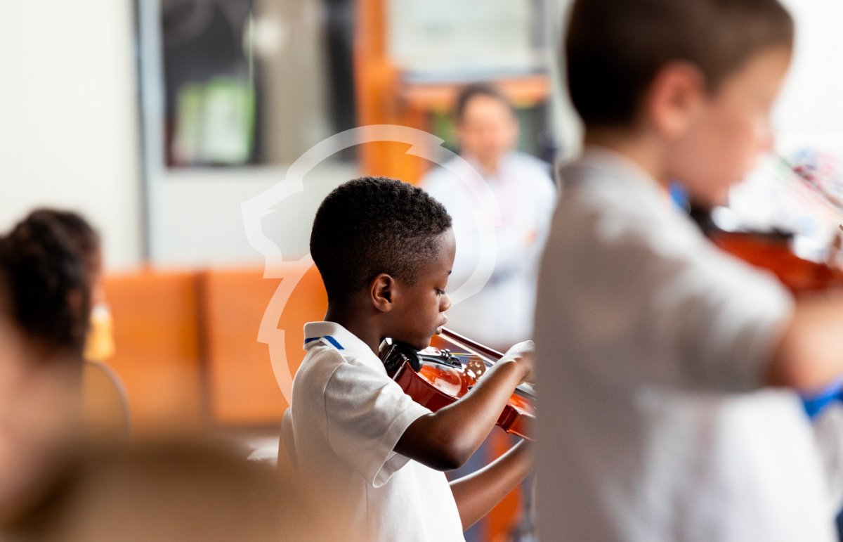 The British School in the Netherlands